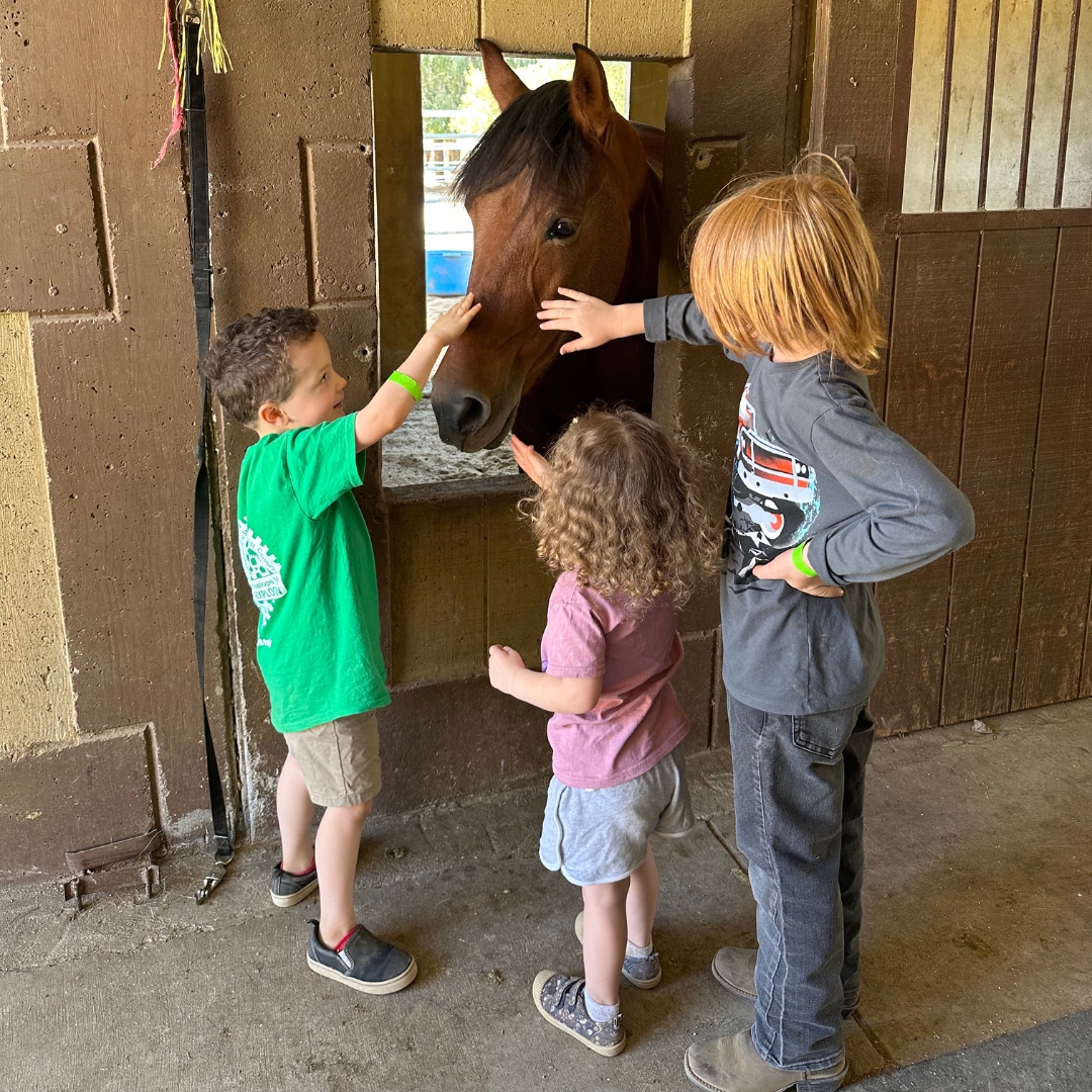 iLEAD Antelope Valley Exploration Home Study - iLEAD Antelope Valley